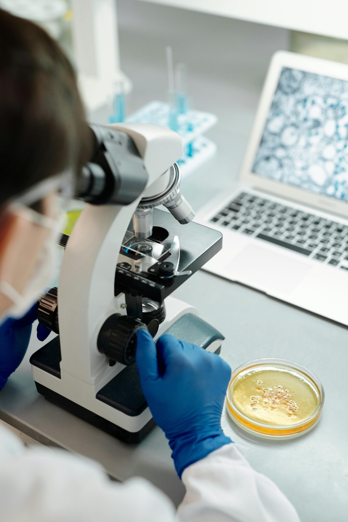 Buffalo Milk Powder – ELC Biotech
